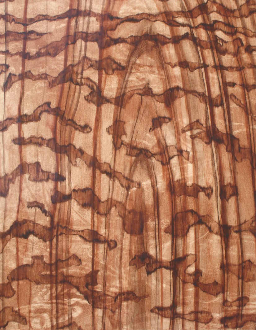 Studio Sandi: Wood Textures: Snake Wood